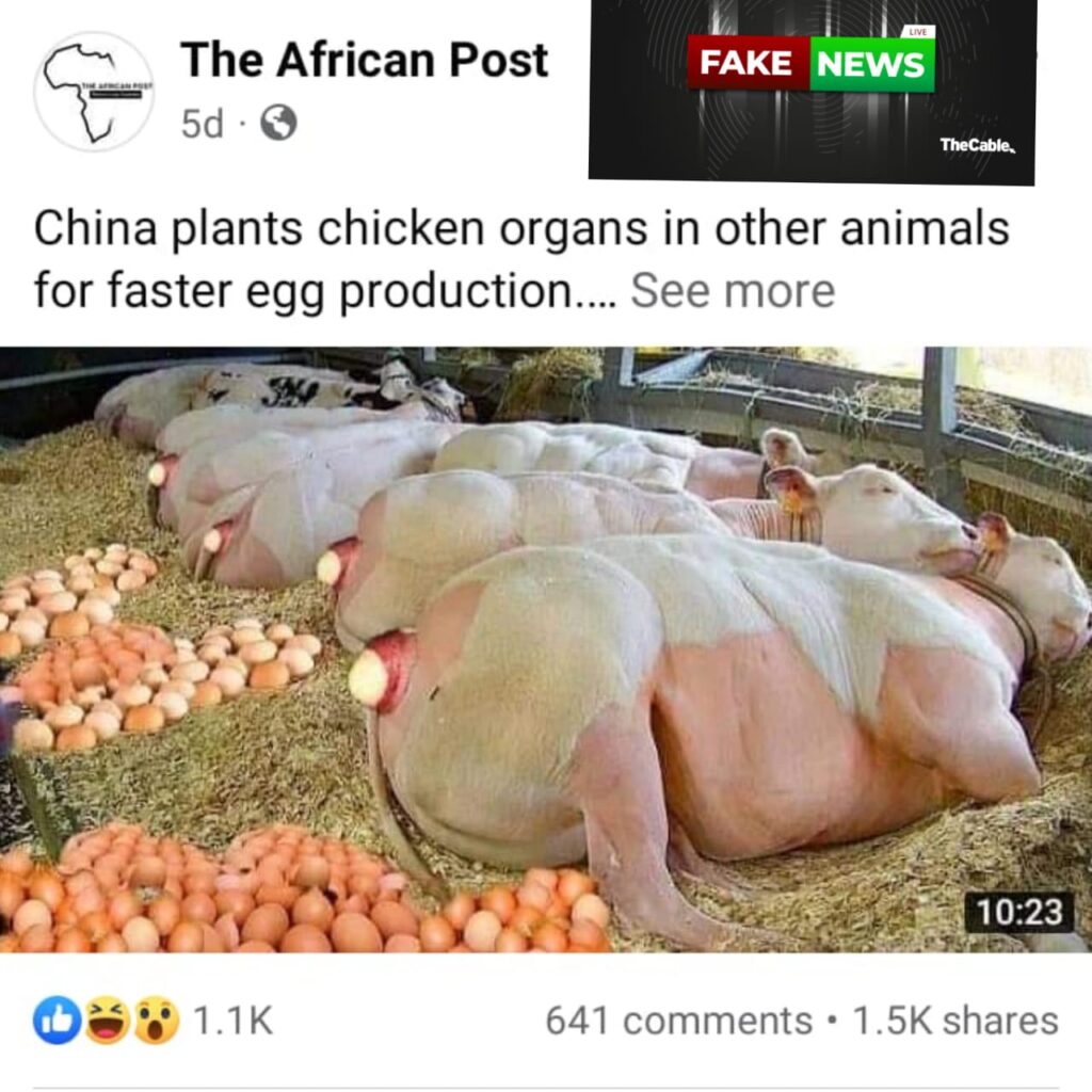 FACT CHECK: Viral image showing cows laying eggs is photoshopped | TheCable