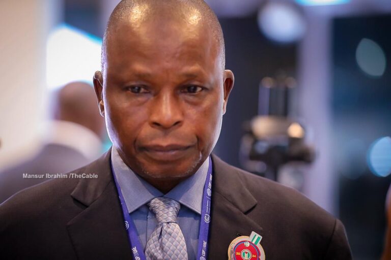 State electoral commissions should be scrapped, says Fagbemi | TheCable