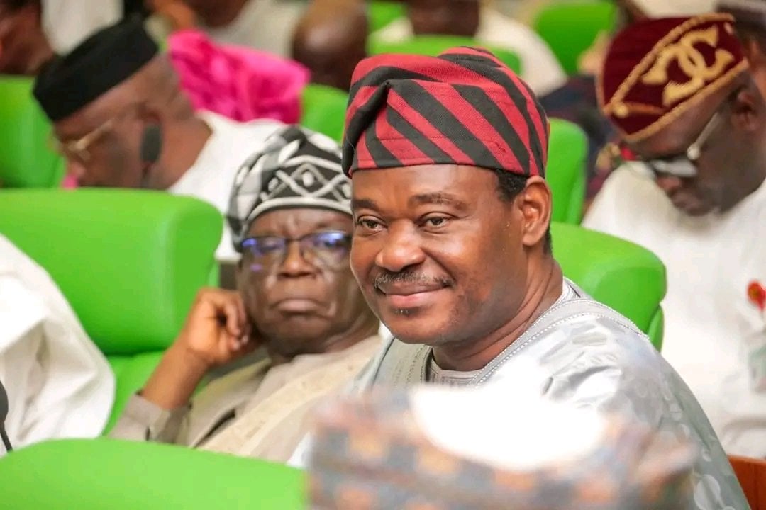 EXTRA: My phone detected 277 guns around me, Jimoh Ibrahim says inside senate chamber | TheCable